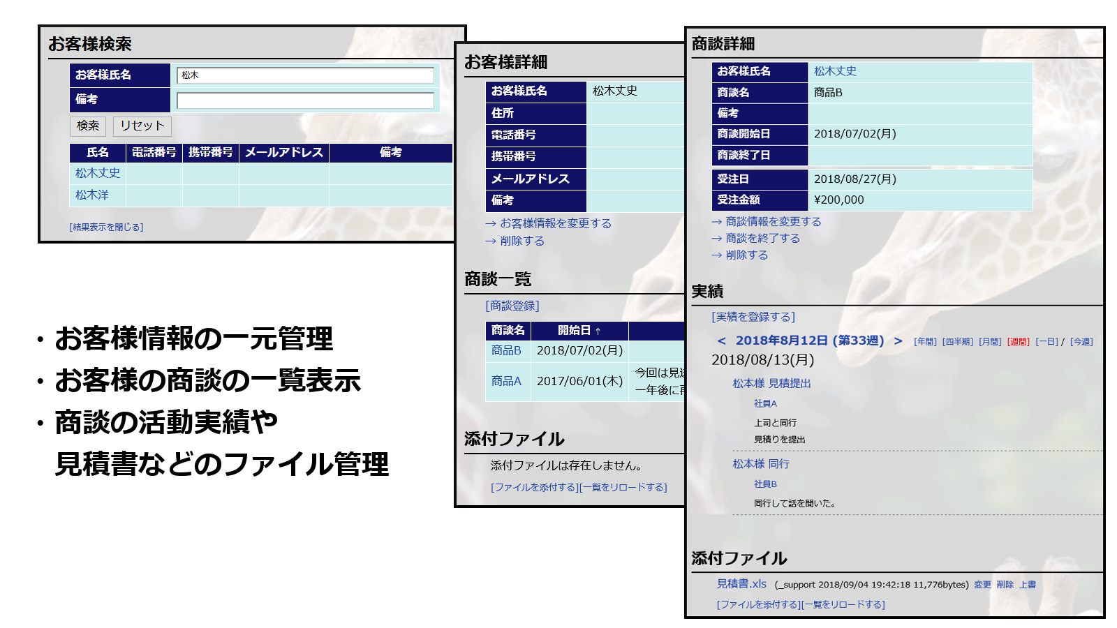 Ziraffeについて – Ziraffe Project